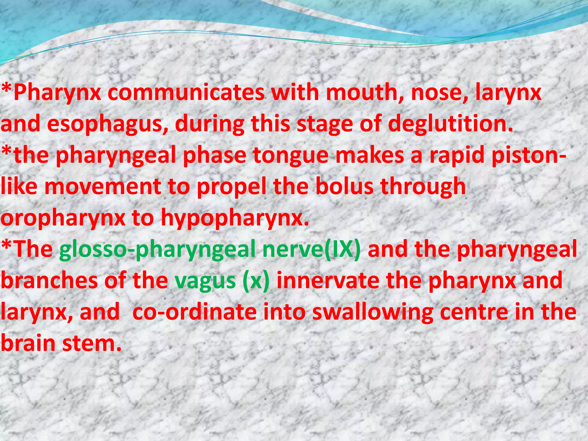 Deglutition or Swallowing | PPTX