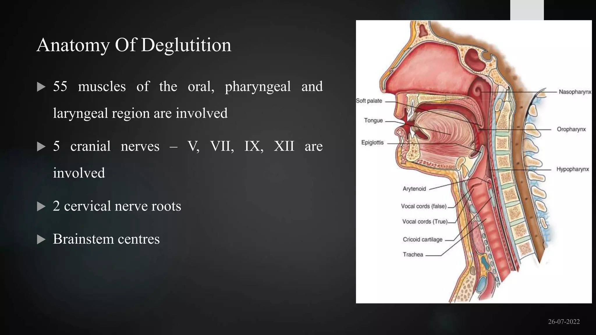 Deglutition | PPTX