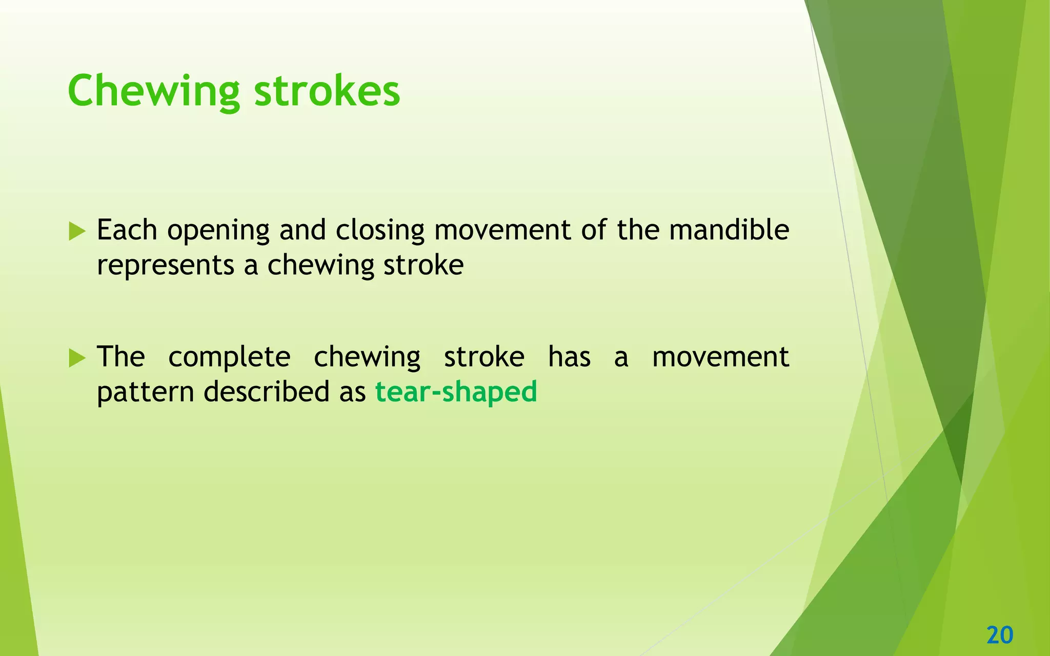 Deglutition and Chewing cycle _Dr. Pratistha | PDF