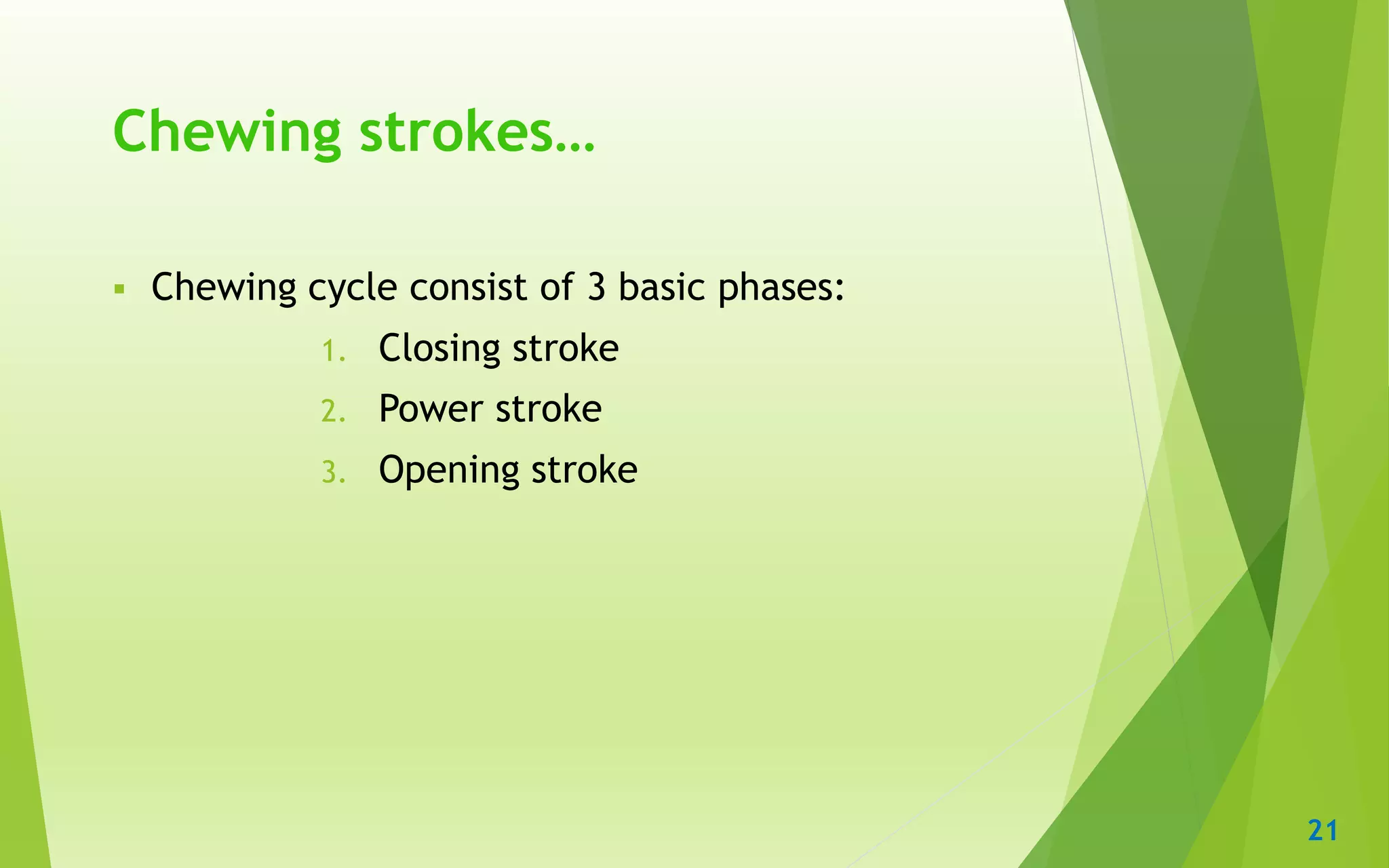 Deglutition and Chewing cycle _Dr. Pratistha | PDF