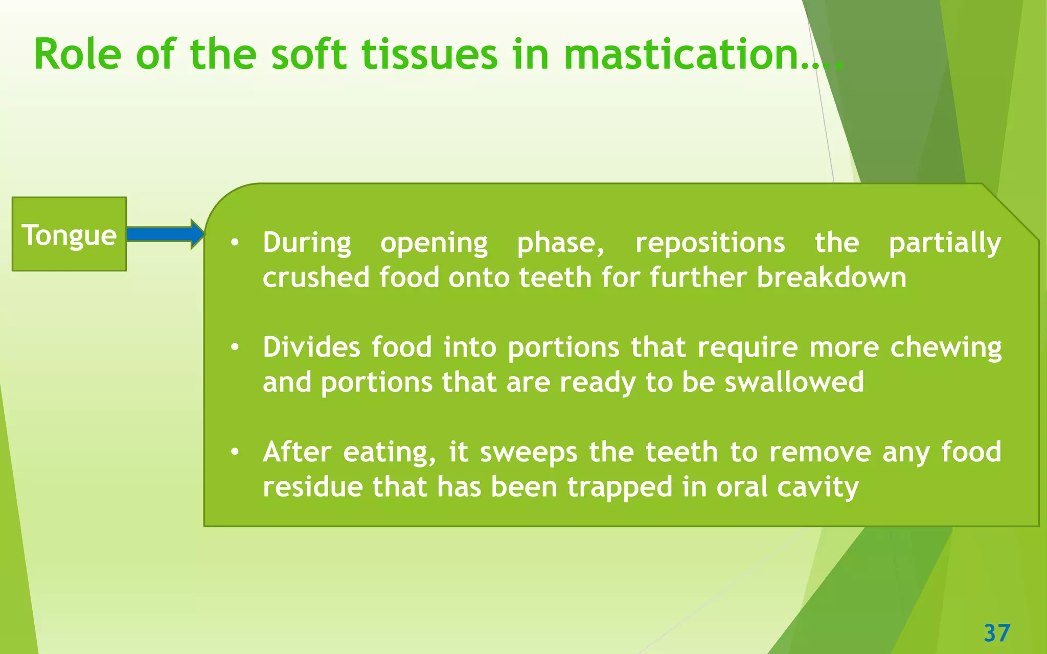 Deglutition and Chewing cycle _Dr. Pratistha | PDF | Dental Health ...