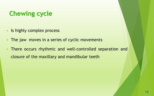 Deglutition and Chewing cycle _Dr. Pratistha | PDF | Dental Health ...