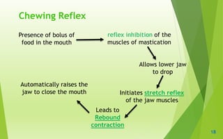 Deglutition and Chewing cycle _Dr. Pratistha | PDF