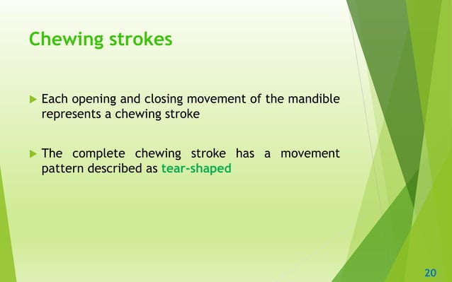Deglutition and Chewing cycle _Dr. Pratistha | PDF | Dental Health ...