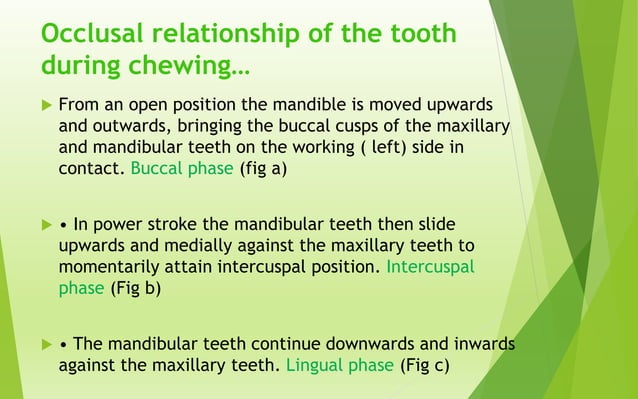 Deglutition and Chewing cycle _Dr. Pratistha | PDF | Dental Health ...
