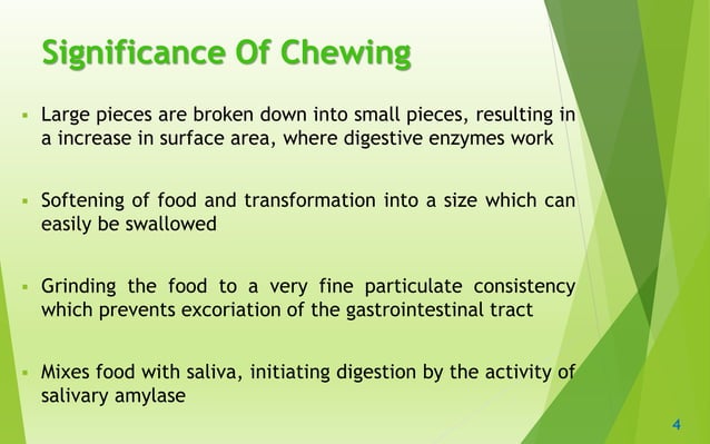 Deglutition and Chewing cycle _Dr. Pratistha | PDF | Dental Health ...