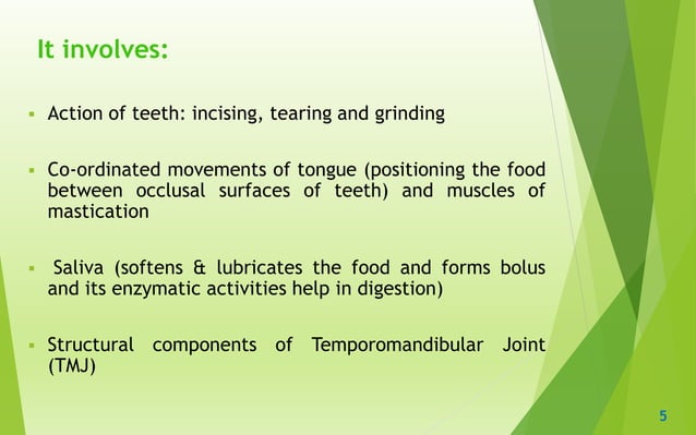 Deglutition and Chewing cycle _Dr. Pratistha | PDF | Dental Health ...