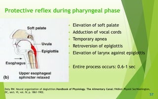 Deglutition and Chewing cycle _Dr. Pratistha | PDF