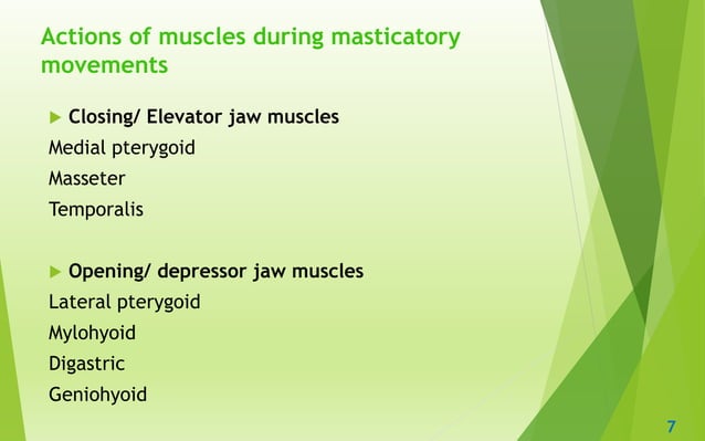 Deglutition and Chewing cycle _Dr. Pratistha | PDF | Dental Health ...