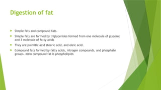 physiology DEGLUTITION STAGES. power point | PPT