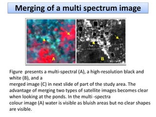 Detection of Fish Farm Location Using Satellite Image | PPTX