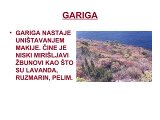 Degradacija šuma | PPT