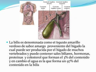 Degradacion de la hemoglobina | PPTX