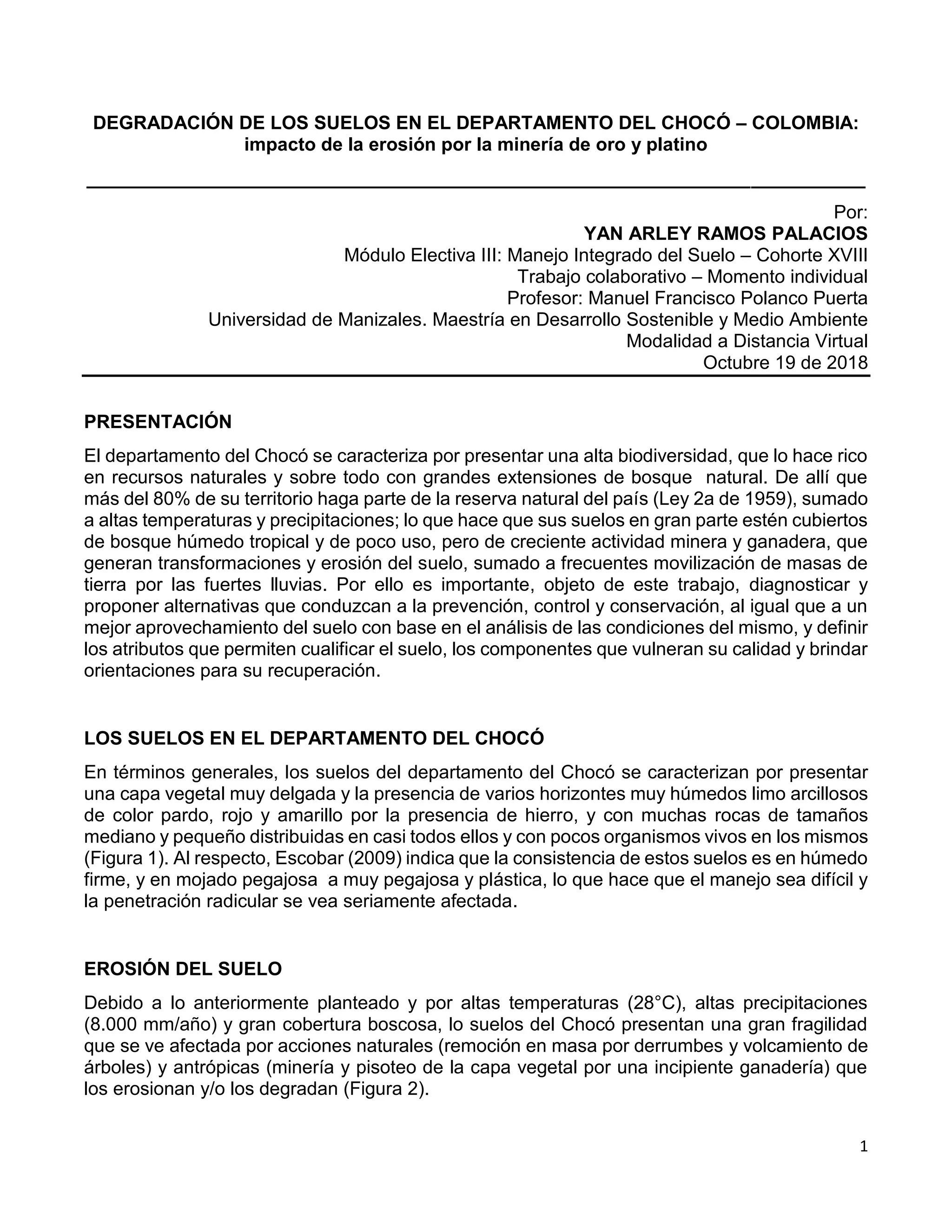 Degradacion suelos por mineria en el choco, ramos yan | PDF
