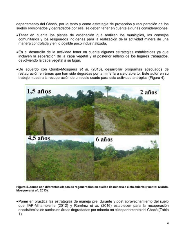 Degradacion suelos por mineria en el choco, ramos yan | PDF