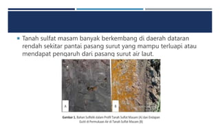 DEGRADASI Lahan sulfat masam_2.pptx