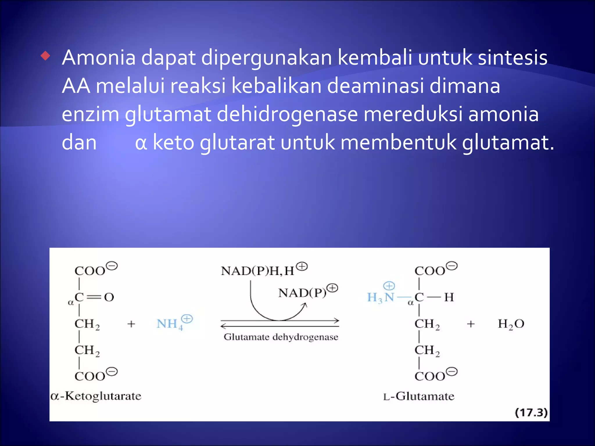 Degradasi oksidatif asam amino | PPT