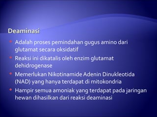 Degradasi oksidatif asam amino | PPT