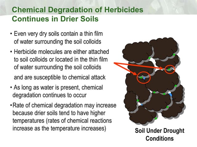 Degradation of Herbicides Under Dry Conditions | PPTX