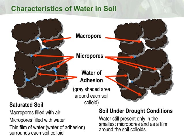 Degradation of Herbicides Under Dry Conditions | PPTX