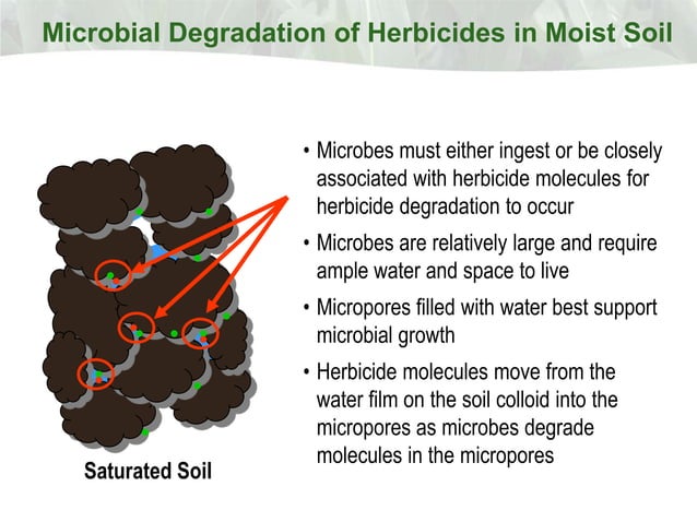 Degradation of Herbicides Under Dry Conditions | PPTX