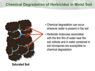 Degradation of Herbicides Under Dry Conditions | PPTX