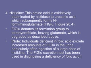 DEGRADATION OF AMINO ACID and synthesis.ppt