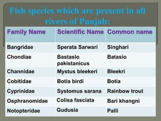 Degradation of aquatic habitat in punjab, pakistan | PPTX
