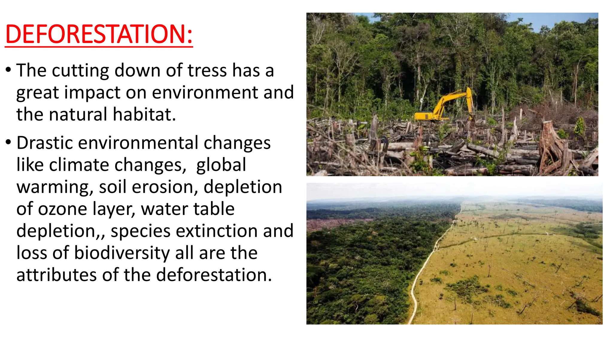 ECOLOGY PPT ON DEGRADATION OF ECOSYSTEM .pptx