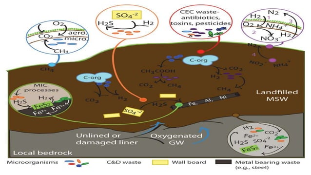 ECOLOGY PPT ON DEGRADATION OF ECOSYSTEM .pptx