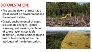 ECOLOGY PPT ON DEGRADATION OF ECOSYSTEM .pptx