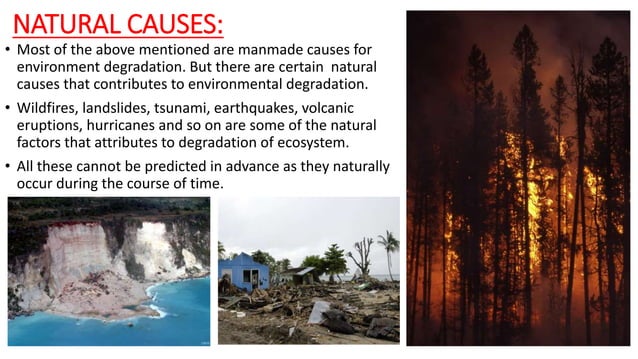 ECOLOGY PPT ON DEGRADATION OF ECOSYSTEM .pptx