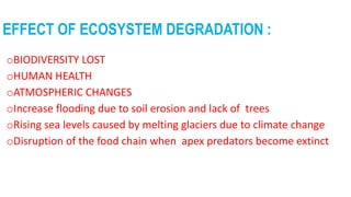 ECOLOGY PPT ON DEGRADATION OF ECOSYSTEM .pptx