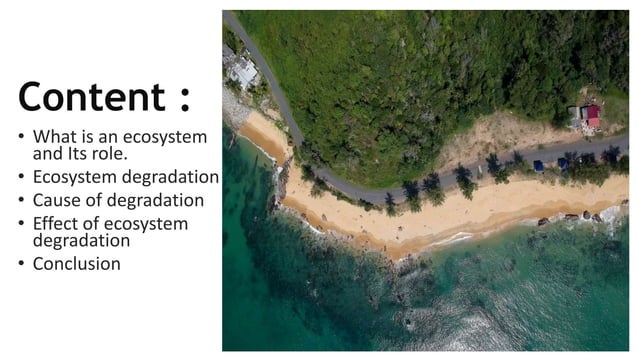 ECOLOGY PPT ON DEGRADATION OF ECOSYSTEM .pptx