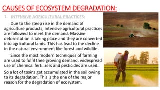 ECOLOGY PPT ON DEGRADATION OF ECOSYSTEM .pptx