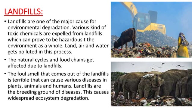 ECOLOGY PPT ON DEGRADATION OF ECOSYSTEM .pptx