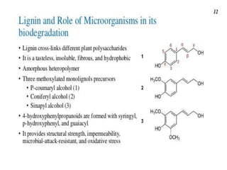 Degradation of lignin and cellulose using microbes | PPTX