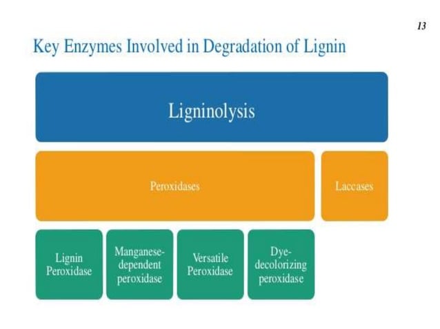 Degradation of lignin and cellulose using microbes | PPTX | Chemistry ...
