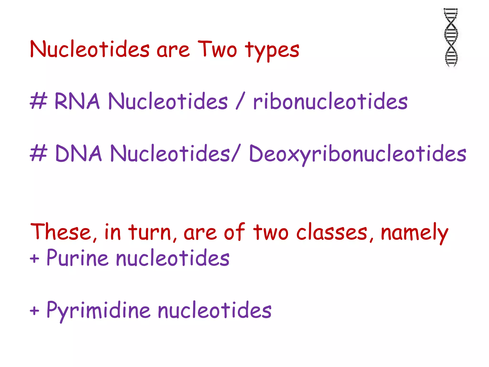 Degradation of Nucleic acids.pptx