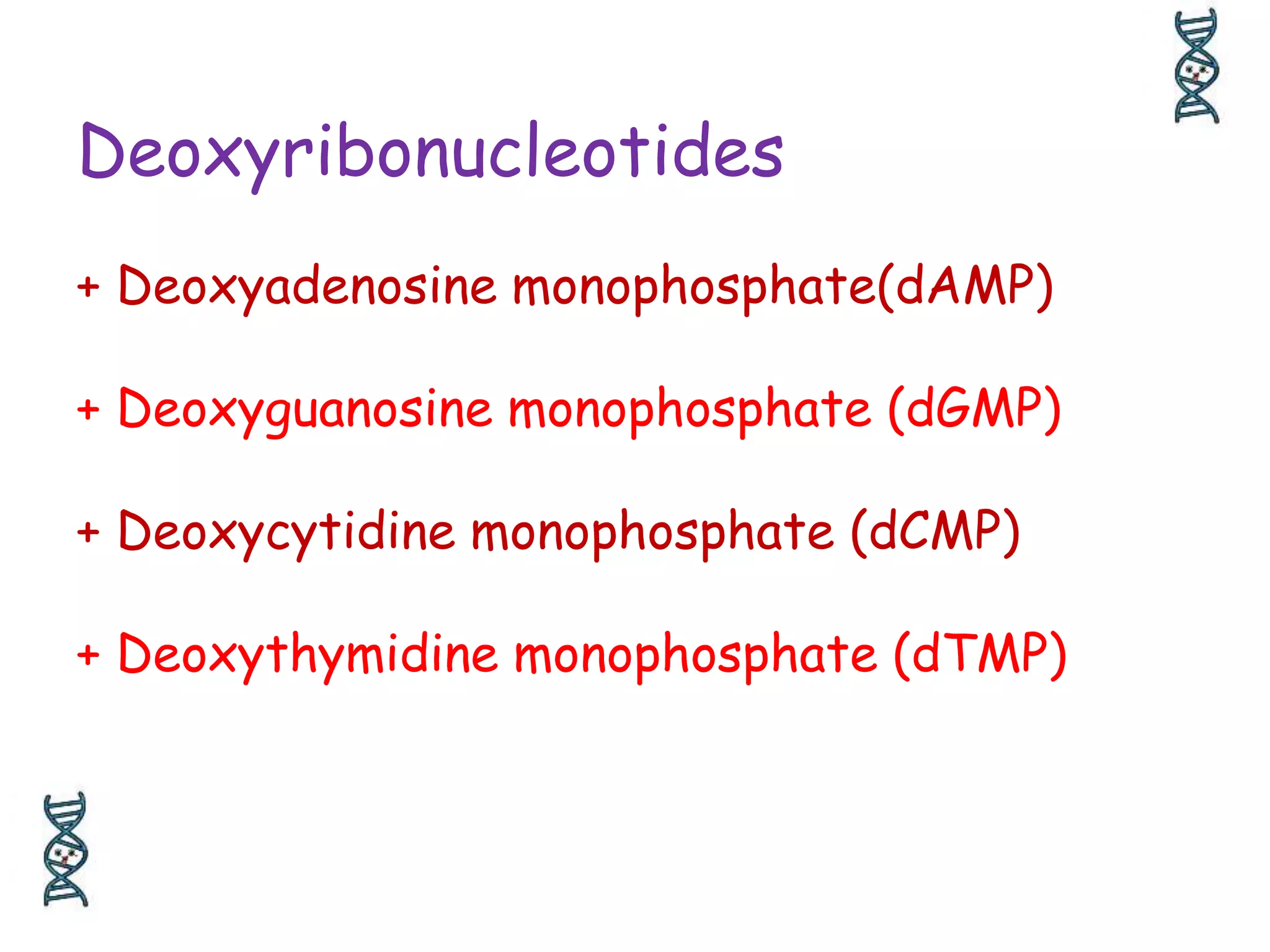 Degradation of Nucleic acids.pptx
