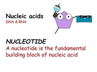 Degradation of Nucleic acids.pptx