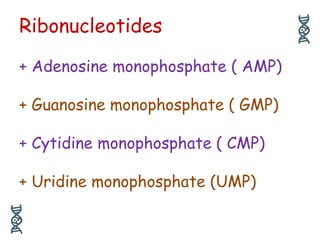 Degradation of Nucleic acids.pptx
