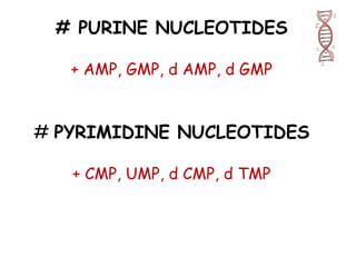 Degradation of Nucleic acids.pptx