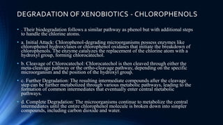 degradation of phenols and chlorophenols | PPT