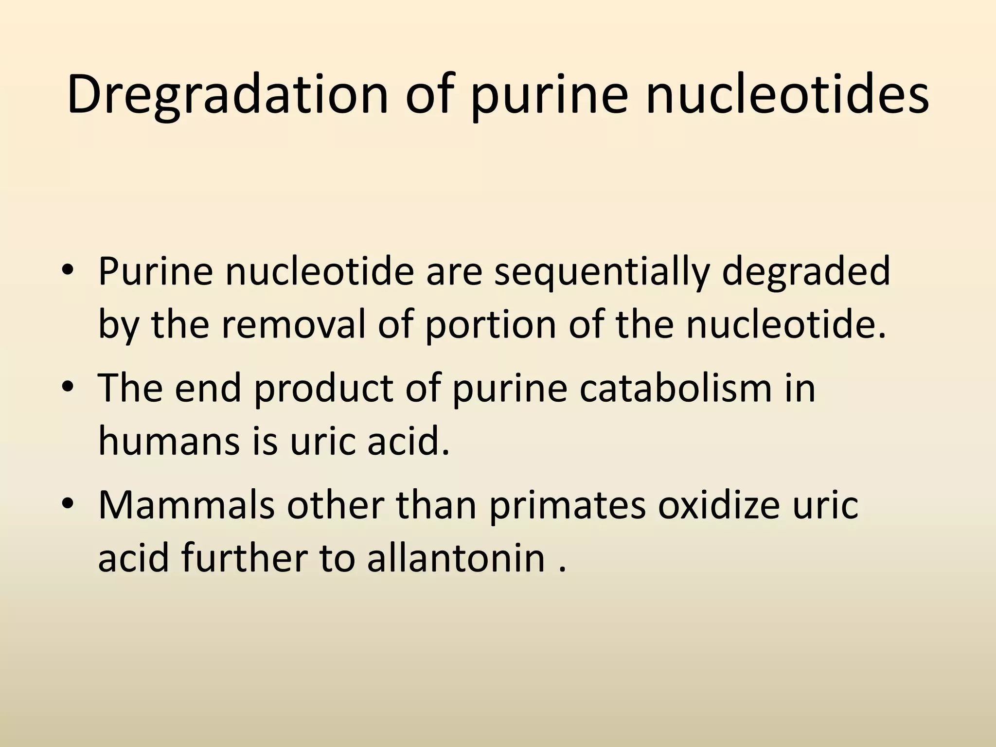 Degradation of purine[1] | PPTX