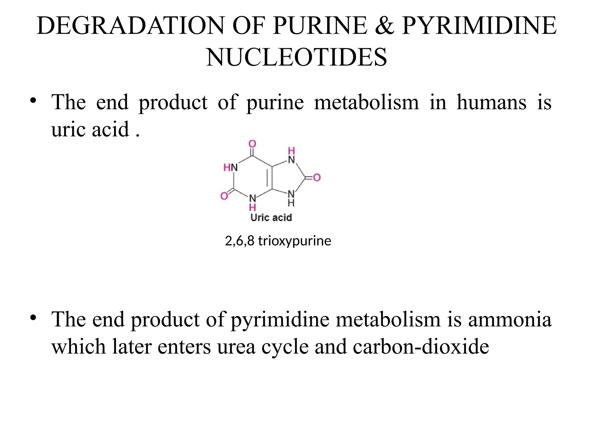 Degradation of purine and pyrimidine.pptx