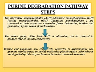 DEGRADATION OF PURINE PPT original-2.pptx