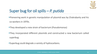 Degradative plasmids & superbug for oil spills | PPTX