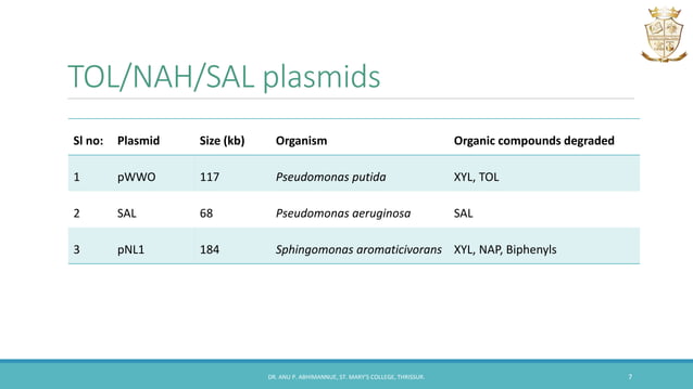 Degradative plasmids & superbug for oil spills | PPTX | Chemistry | Science