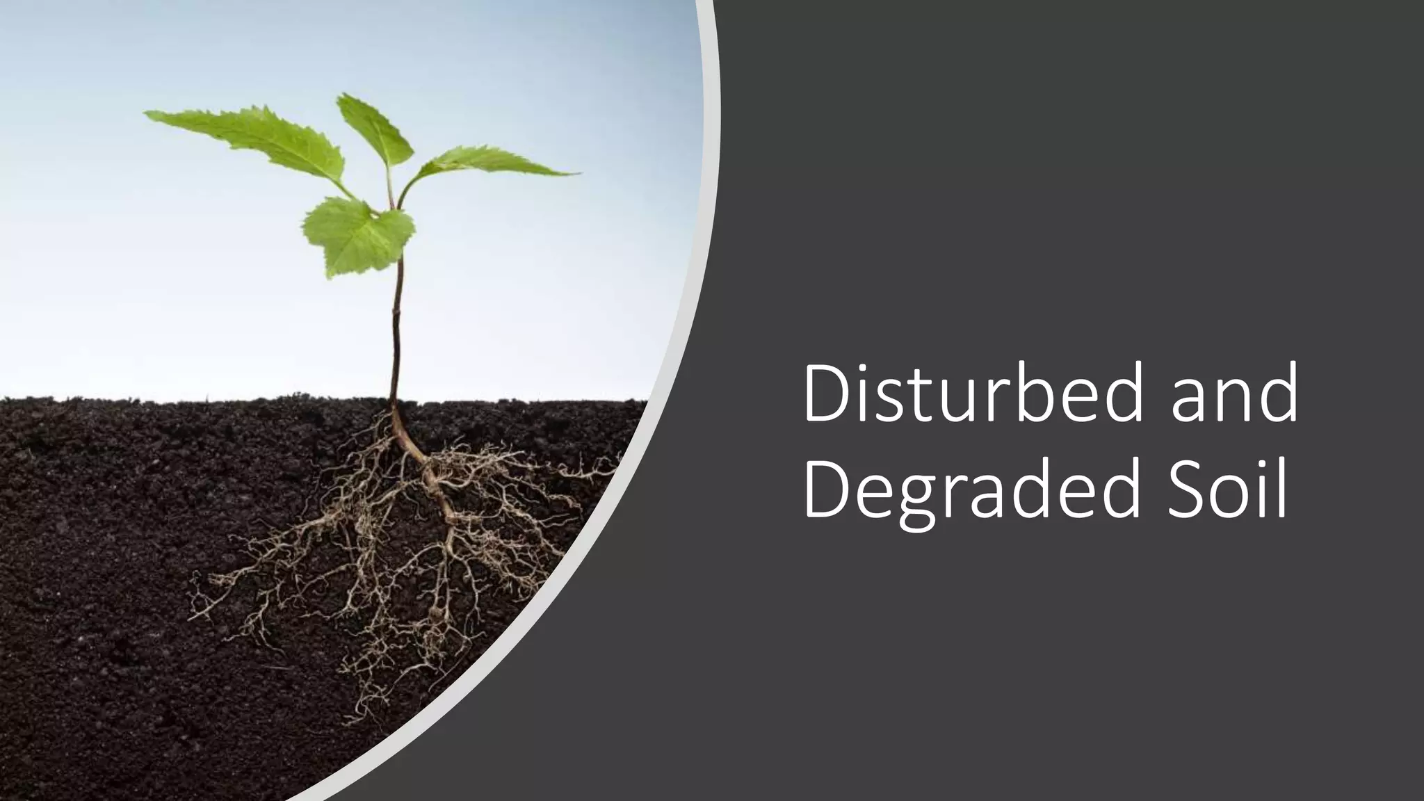 Degraded Soil Images.pptx